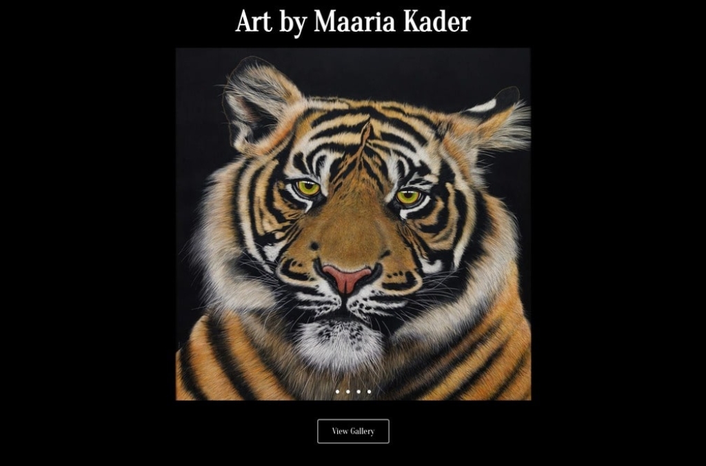 Projects - Techie Techniques