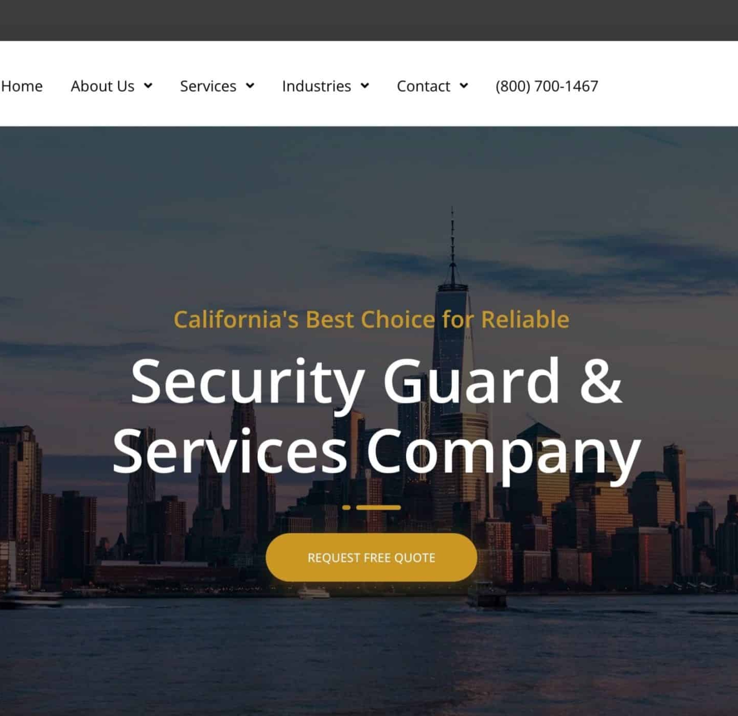 Website Development Agency - Techie Techniques